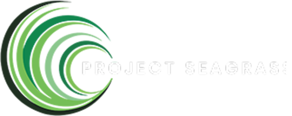 Our Team - Project Seagrass