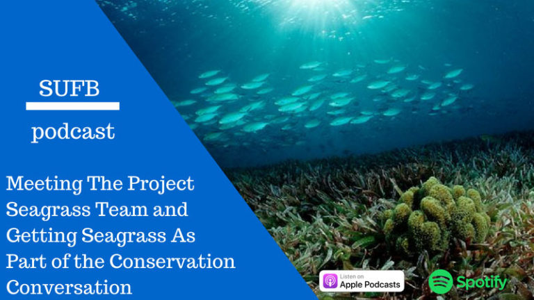 Project Seagrass: A Year In Review 2018-2019 - Project Seagrass