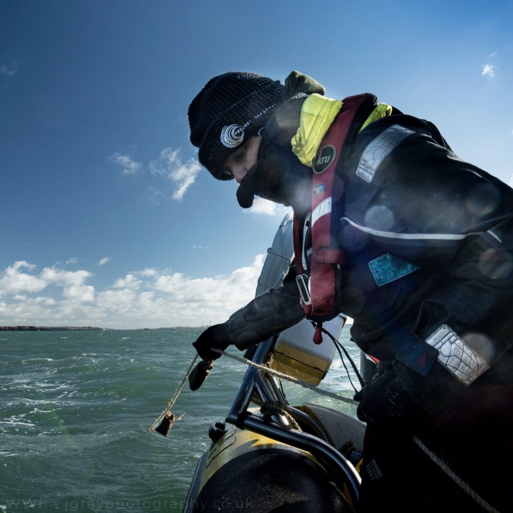 Homepage - Project Seagrass