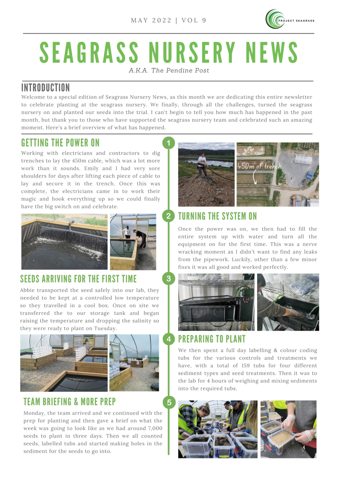 Seagrass Nursery News - Special Planting Edition! - Project Seagrass