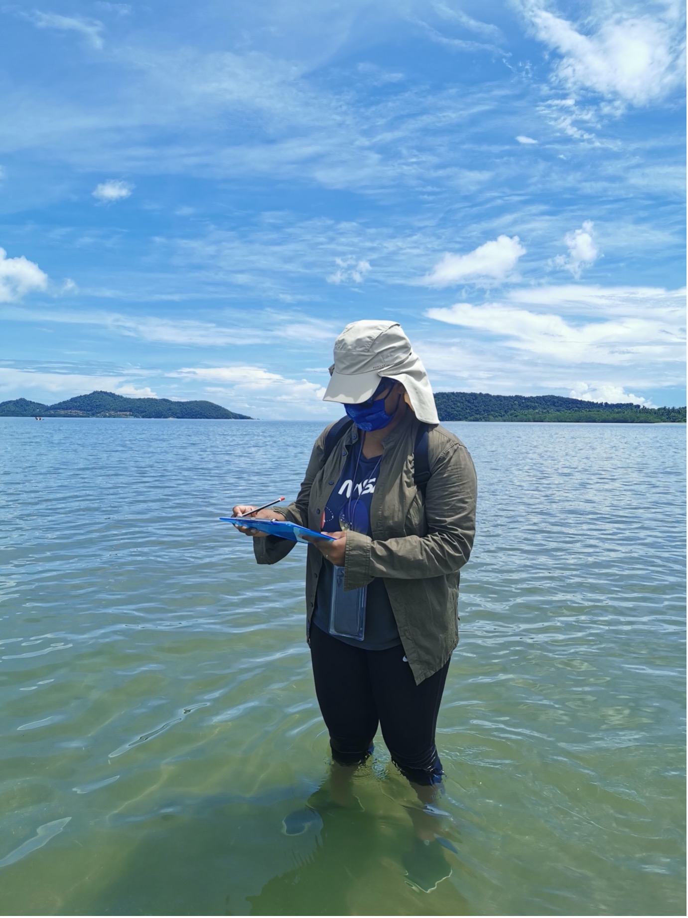 Protecting marine mammals with MareCet | Project Seagrass