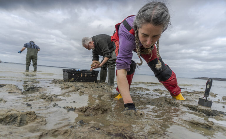 World Seagrass Day and Seagrass Awareness Month at Project Seagrass ...