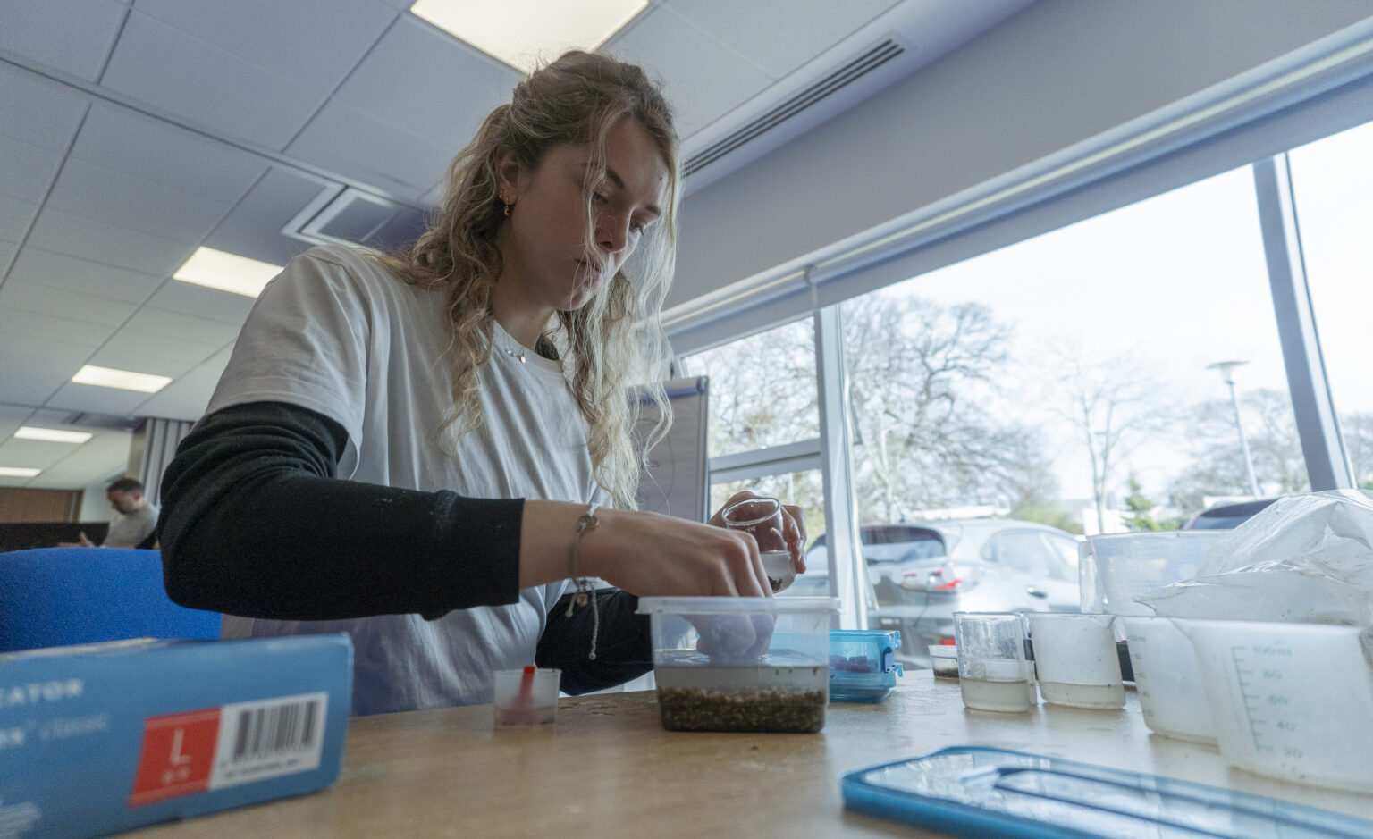 Our Strategy - Project Seagrass