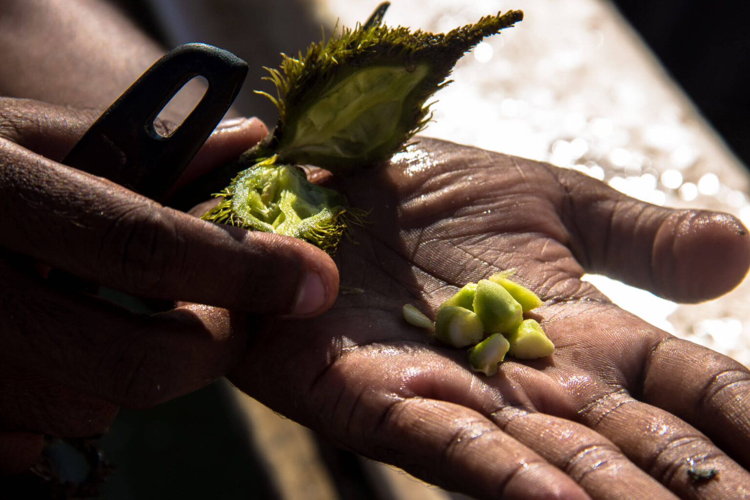 Our Strategy - Project Seagrass