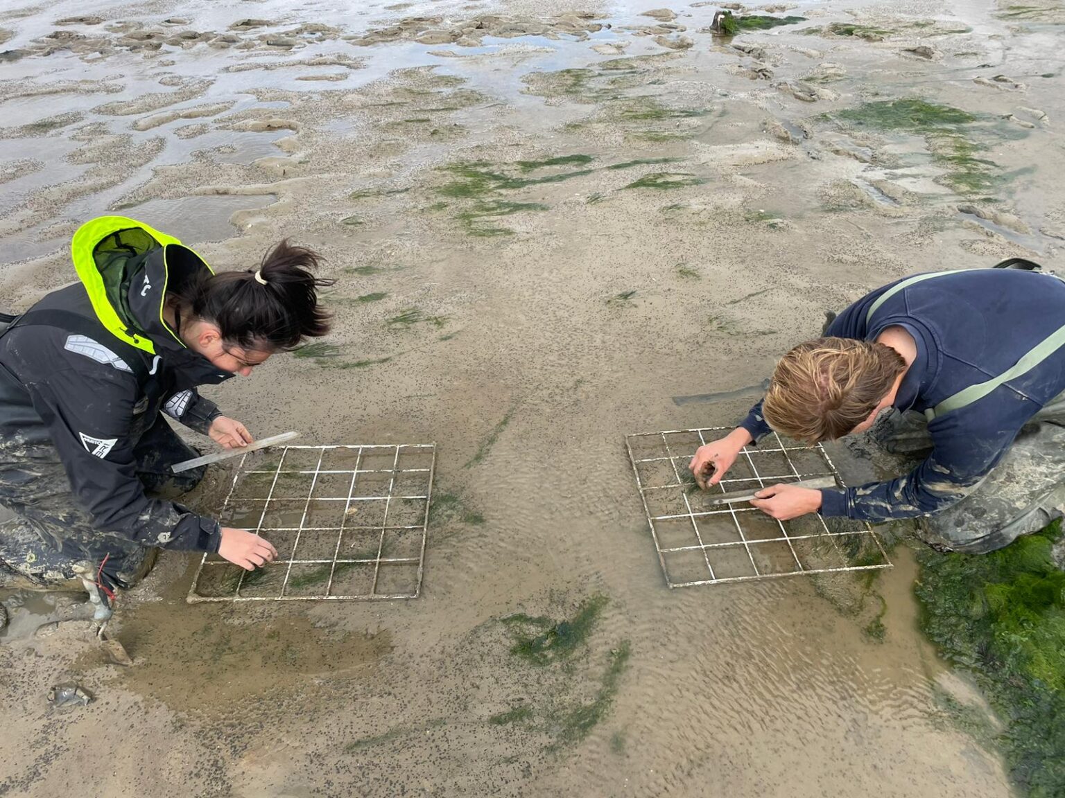 Protecting Seagrass - Project Seagrass