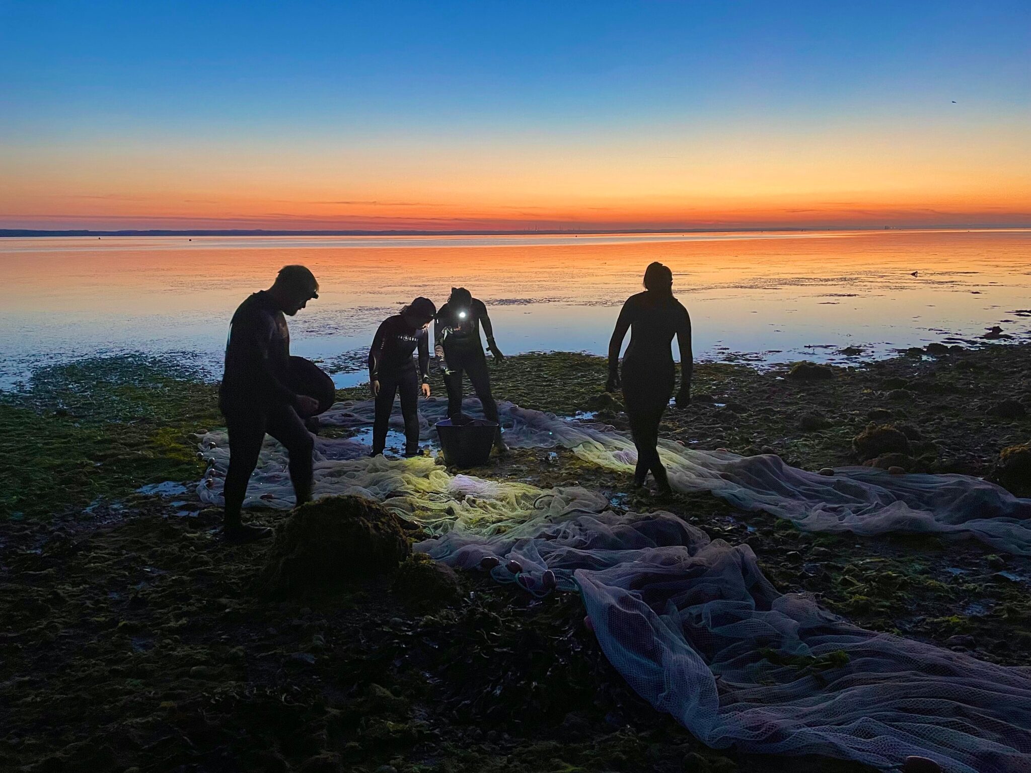 Help Us | Project Seagrass