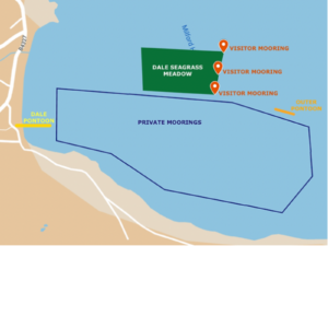 Advanced Mooring Systems - Project Seagrass