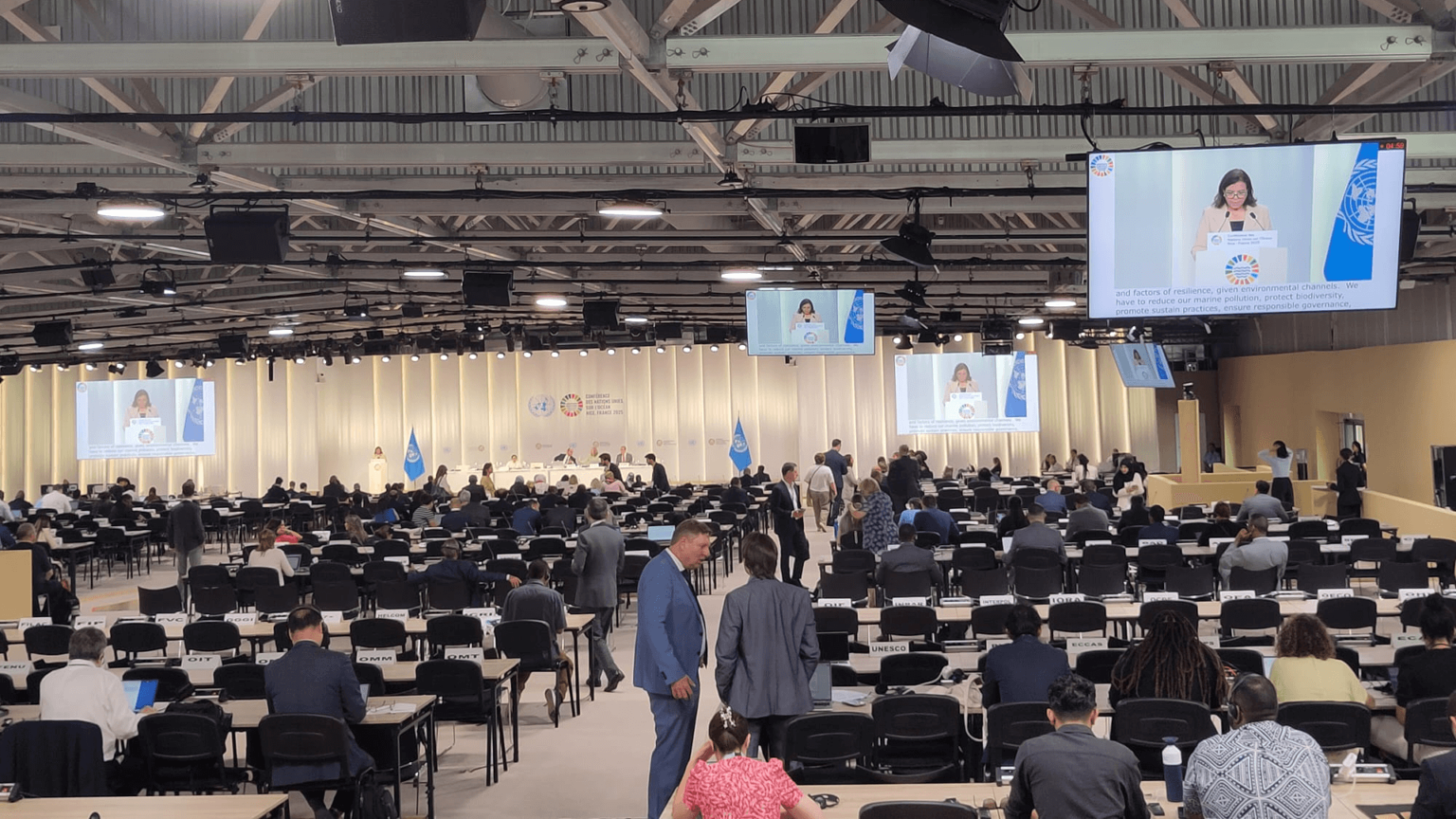 Accelerating Action for Ocean Health: Reflections on the United Nations ...