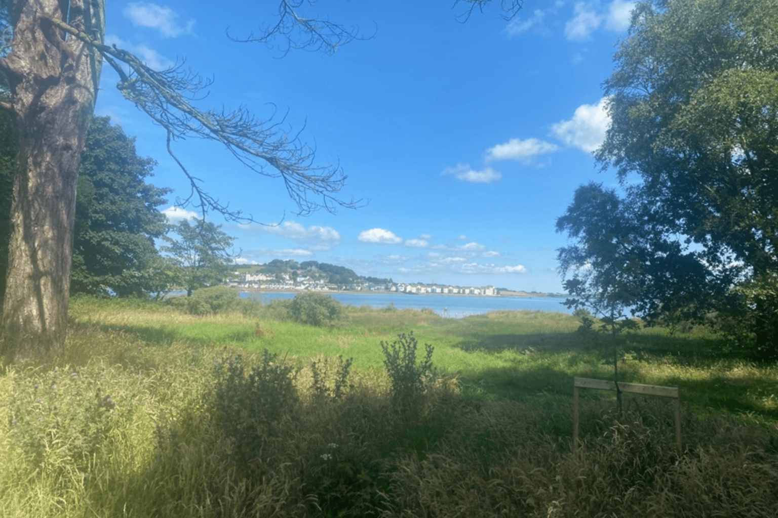 The Forgotten Meadows of Northern Ireland - Project Seagrass