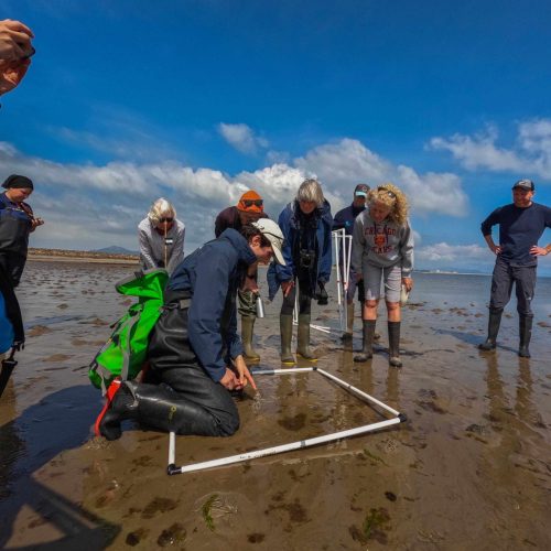 Blog - Project Seagrass